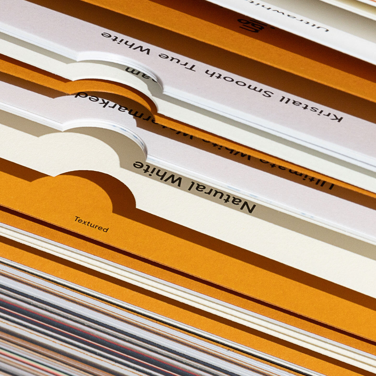 The making of the Collection 2020